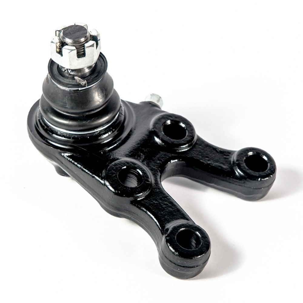 ROTULA INFERIOR DERECHA