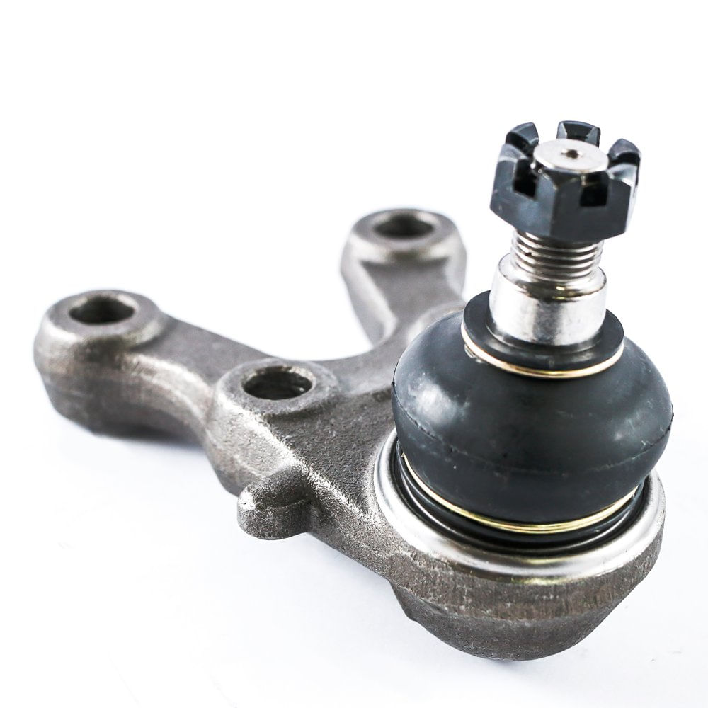 ROTULA INFERIOR DERECHA