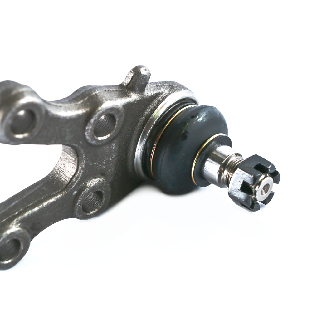 ROTULA INFERIOR IZQUIERDA