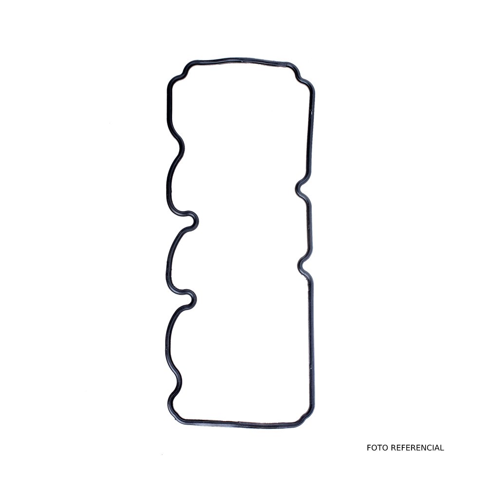 EMPAQUETADURA TAPA VALVULA